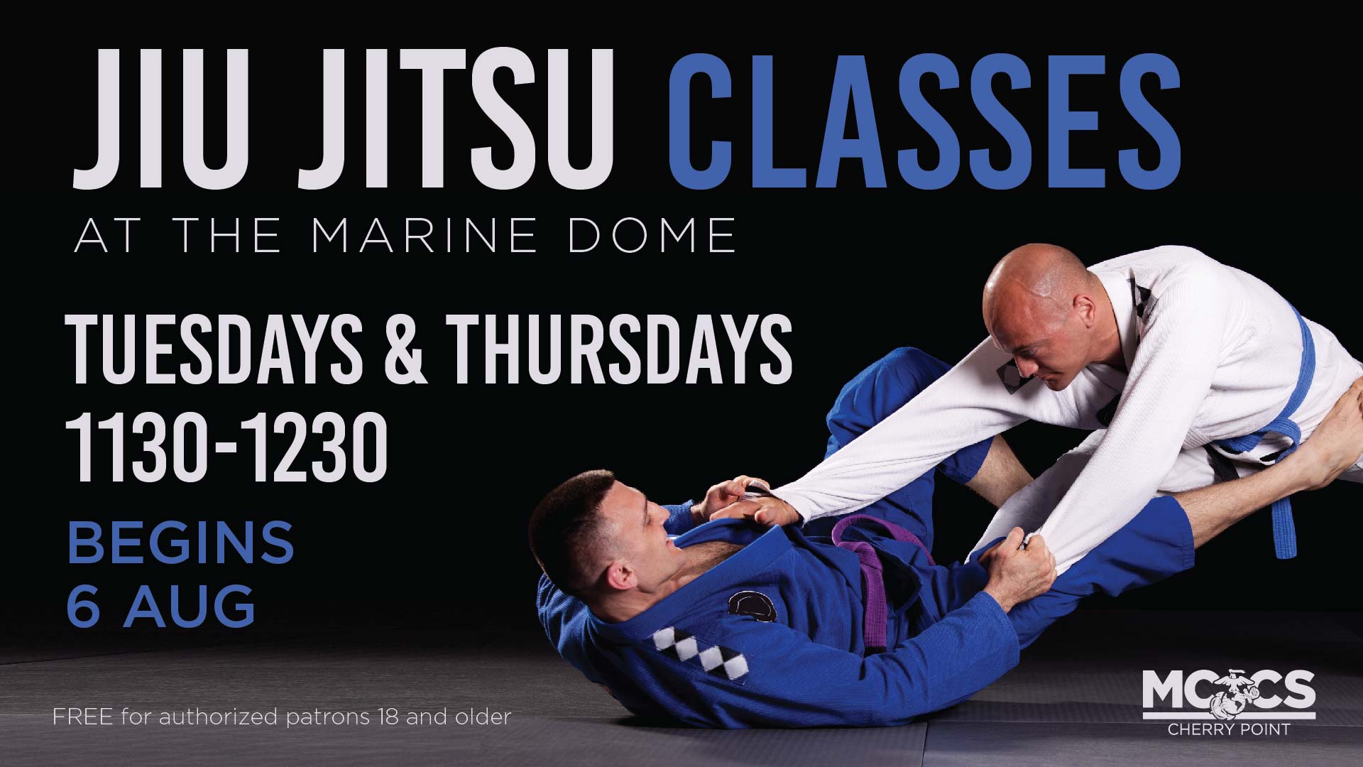 MCCS Jiu Jitsu Classes