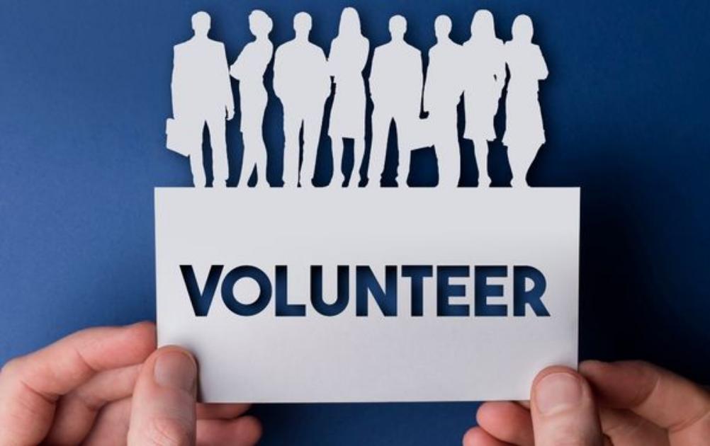 Flirting with Formal Model Volunteers